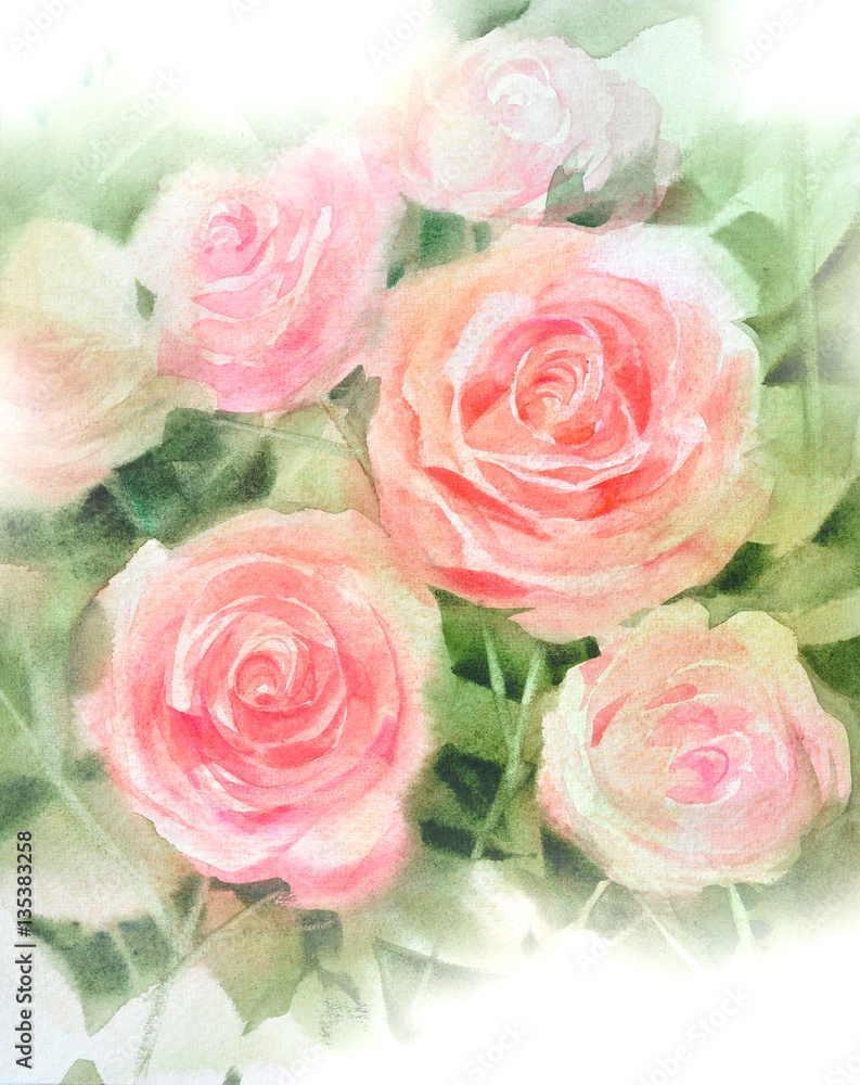 pink rose watercolor hand-painted, isolated on white Stock Photo ...