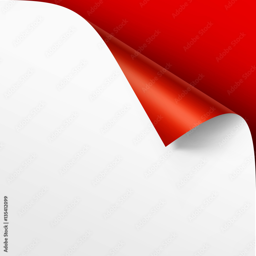 Vector Curled corner of White paper with shadow Mock up Close up ...
