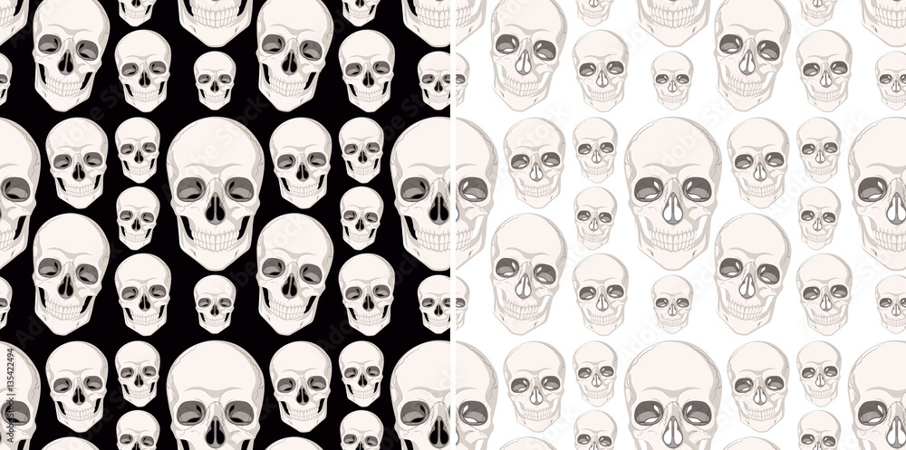 Seamless background design with human skulls Stock Vector | Adobe Stock