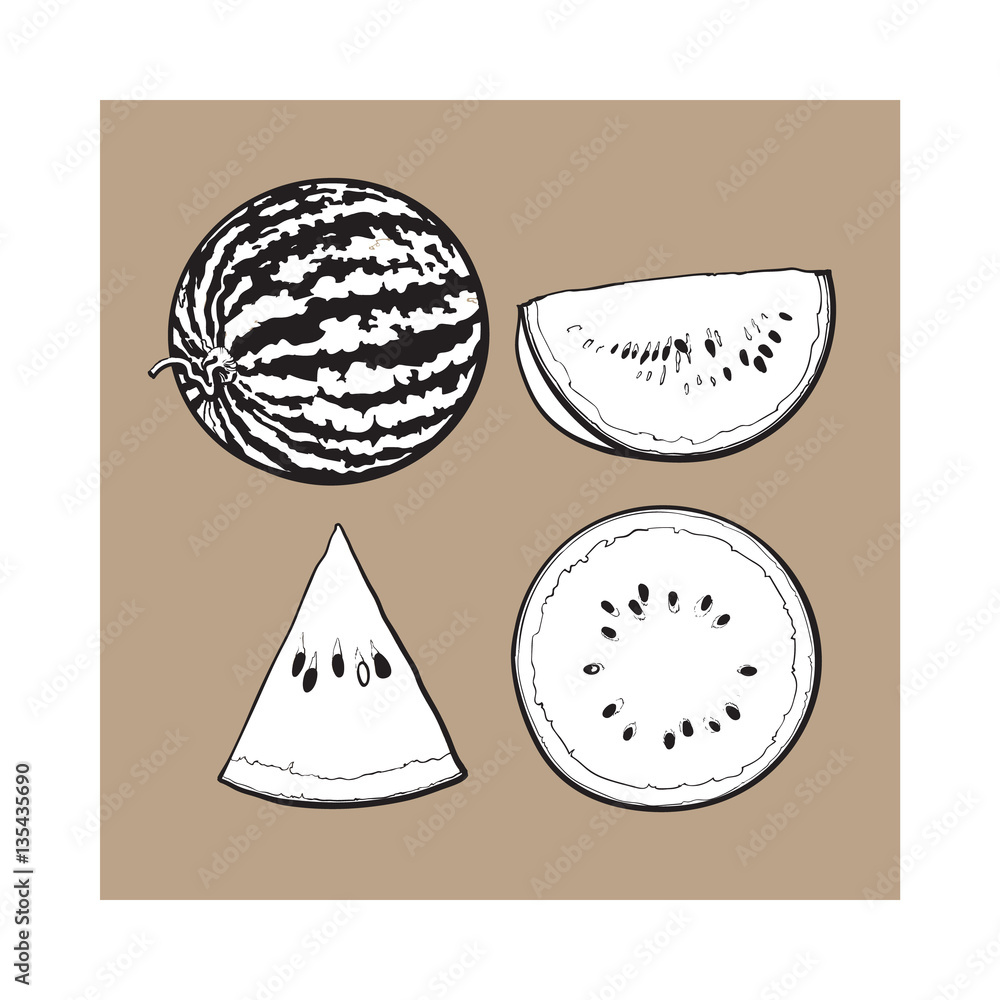 black and white Whole, half, quarter and slice of ripe watermelon ...