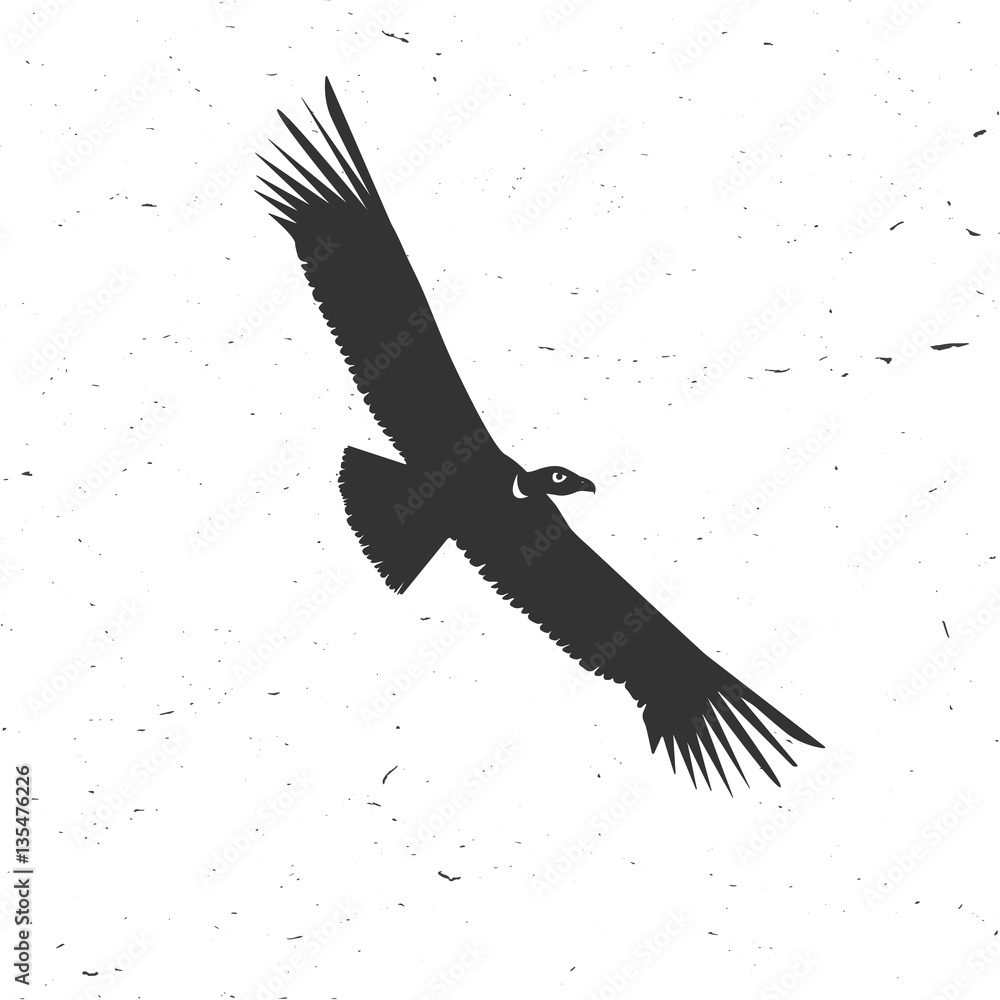 Flying condor silhouette on the white background. Stock Vector | Adobe ...