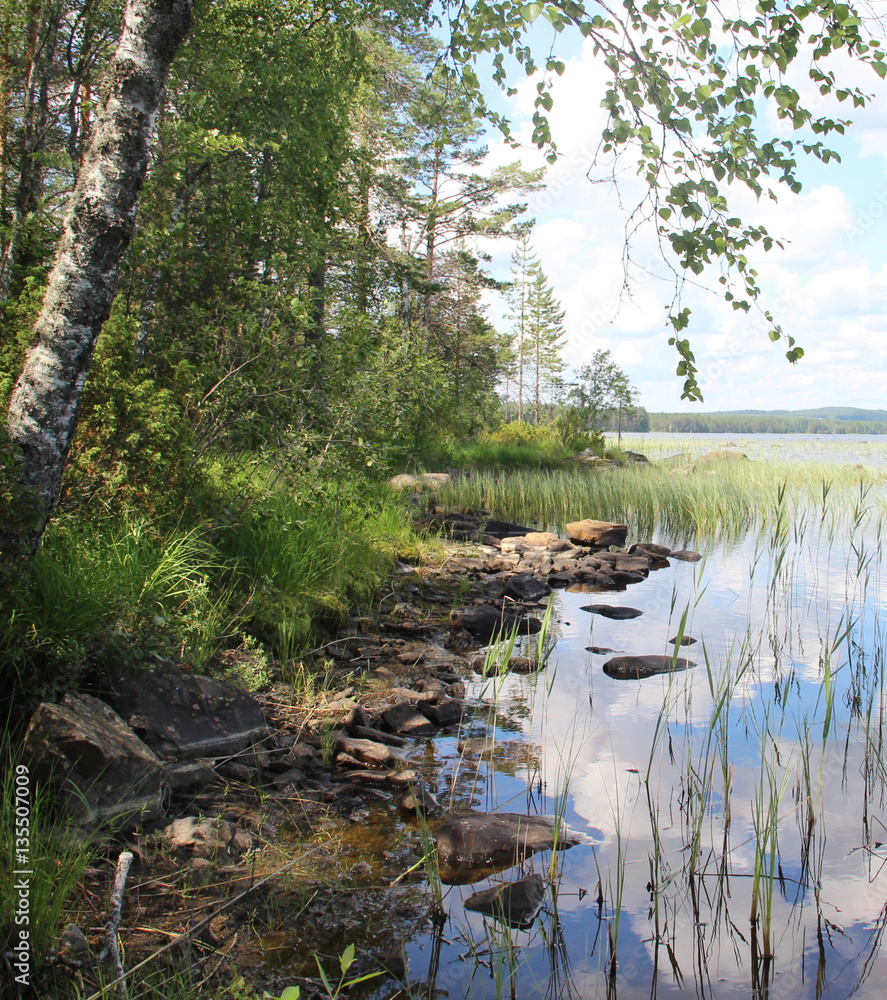 Beautiful nature of Finland Stock-Foto | Adobe Stock