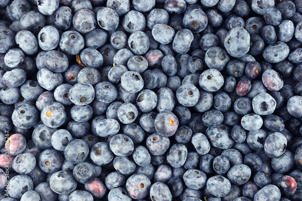 blueberry background Stock Photo | Adobe Stock
