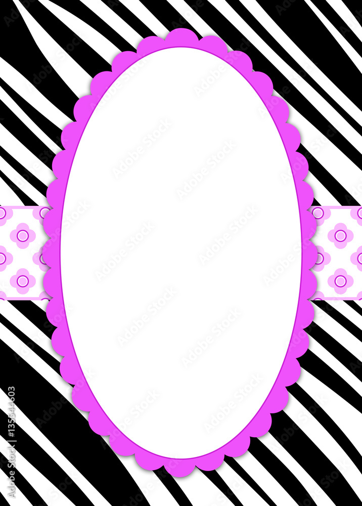 Colorful Zebra Borders And Frames