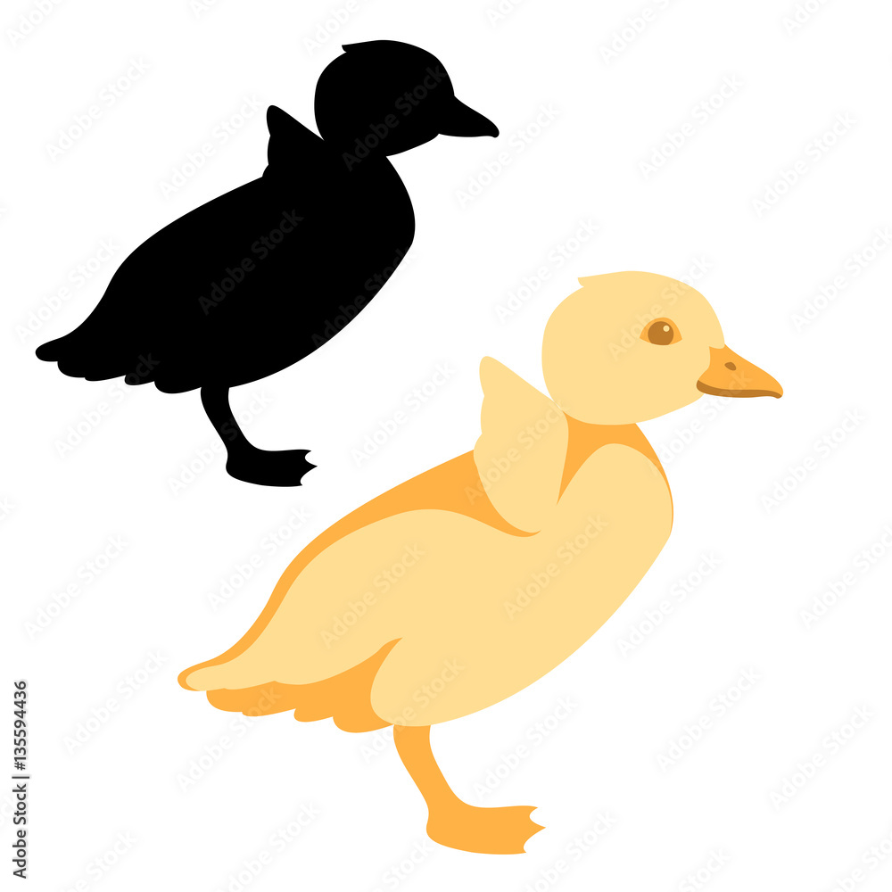 Duckling Silhouette
