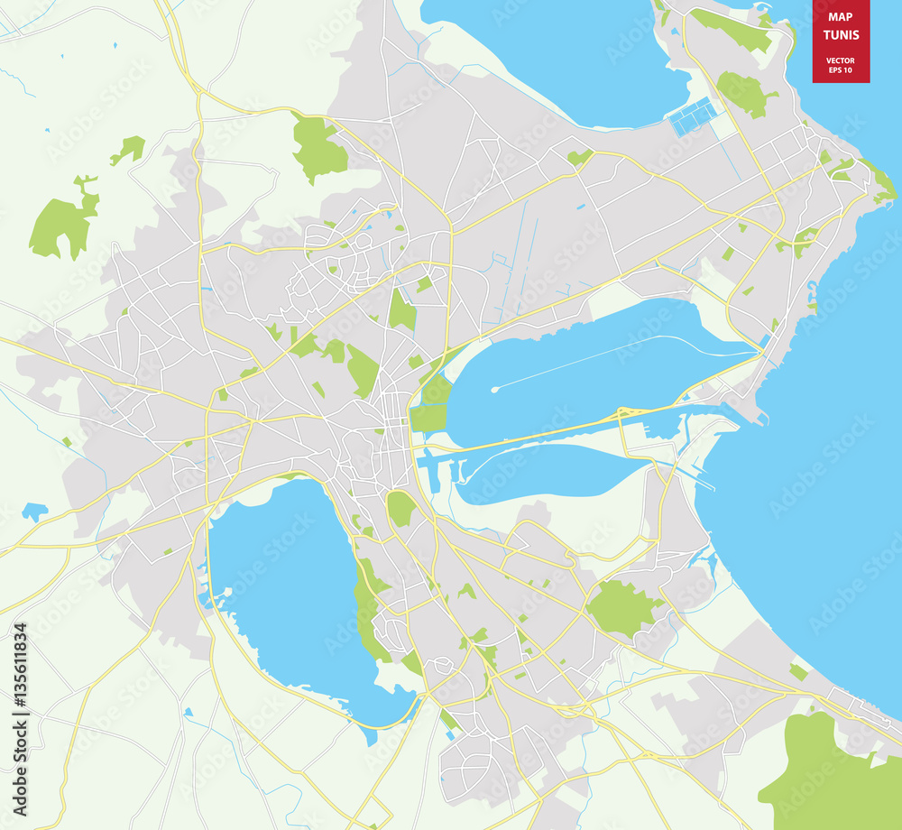 Vector color map of Tunis, Tunisia. City Plan of Tunis. Vector Stock ...