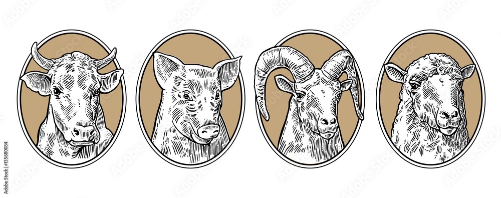 Farm animals icon set. Pig, cow, sheep and goat heads Stock Vector ...