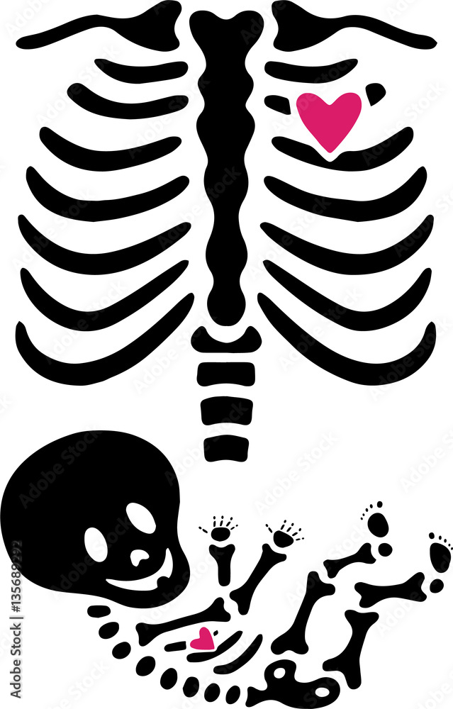 Female skeleton pregnant x ray Stock Vector | Adobe Stock
