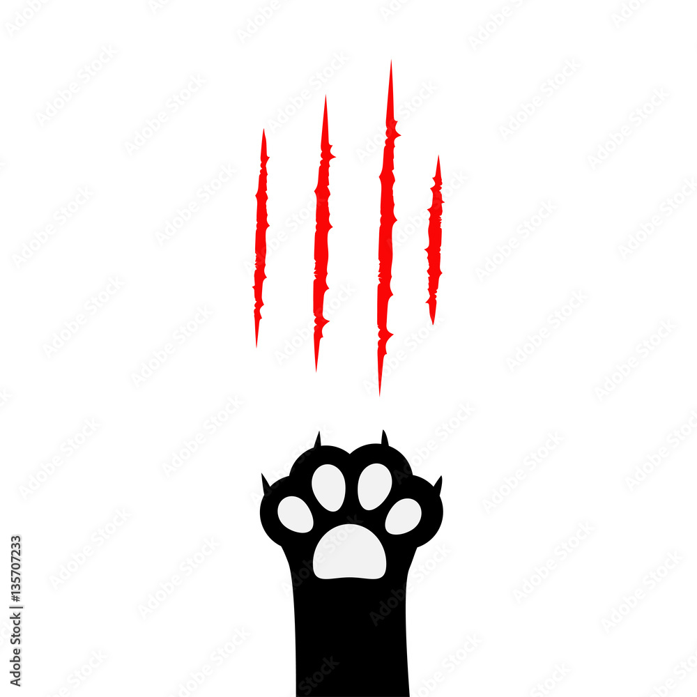 Black cat paw print leg foot. Bloody claws scratching animal red ...