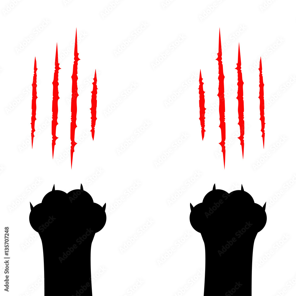 Black cat scratching paw print leg foot. Bloody claws animal red ...