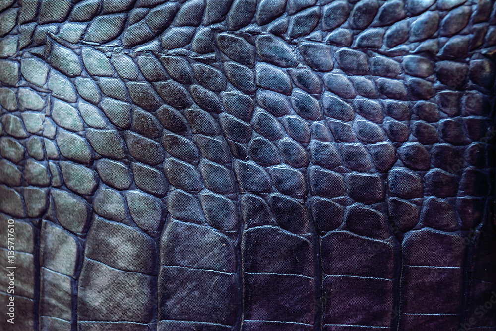 Reptile leather texture Stock Photo | Adobe Stock