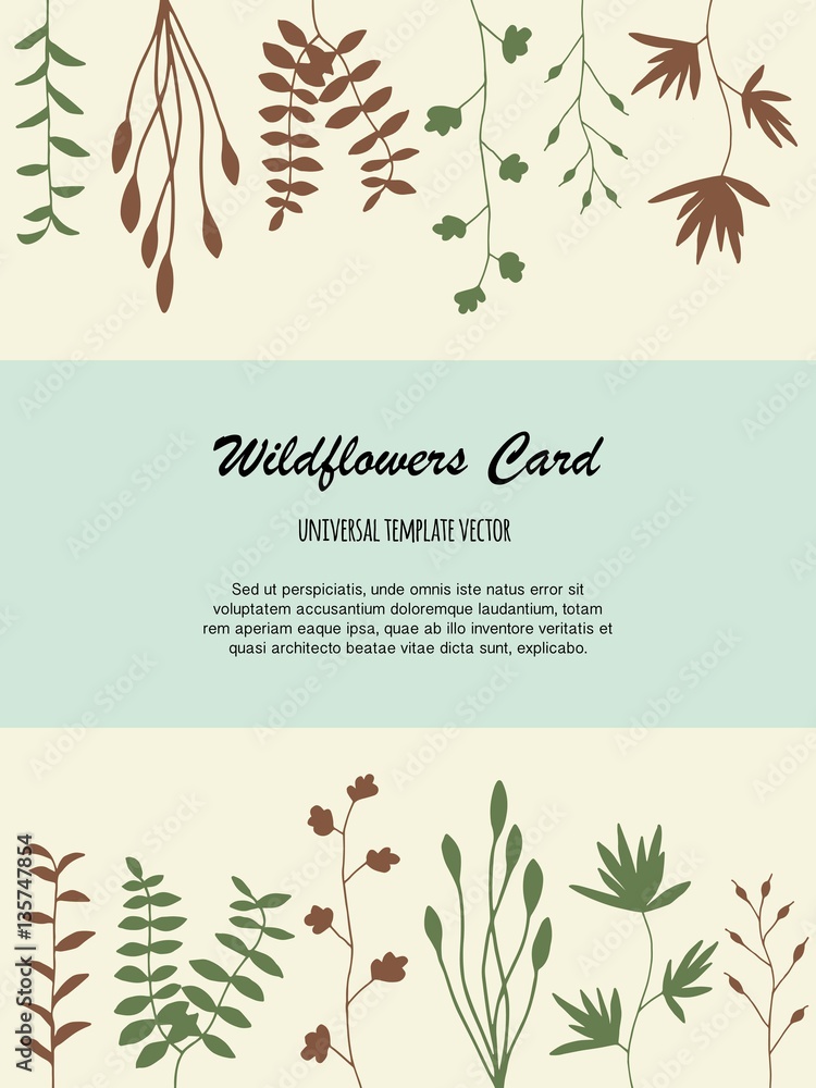 Universal floral card template. wild plants vector illustration Stock ...