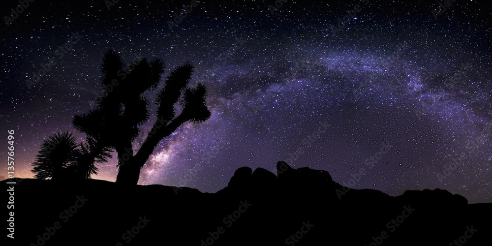 View of the Milky Way Galaxy at the Joshua Tree National Park. The ...