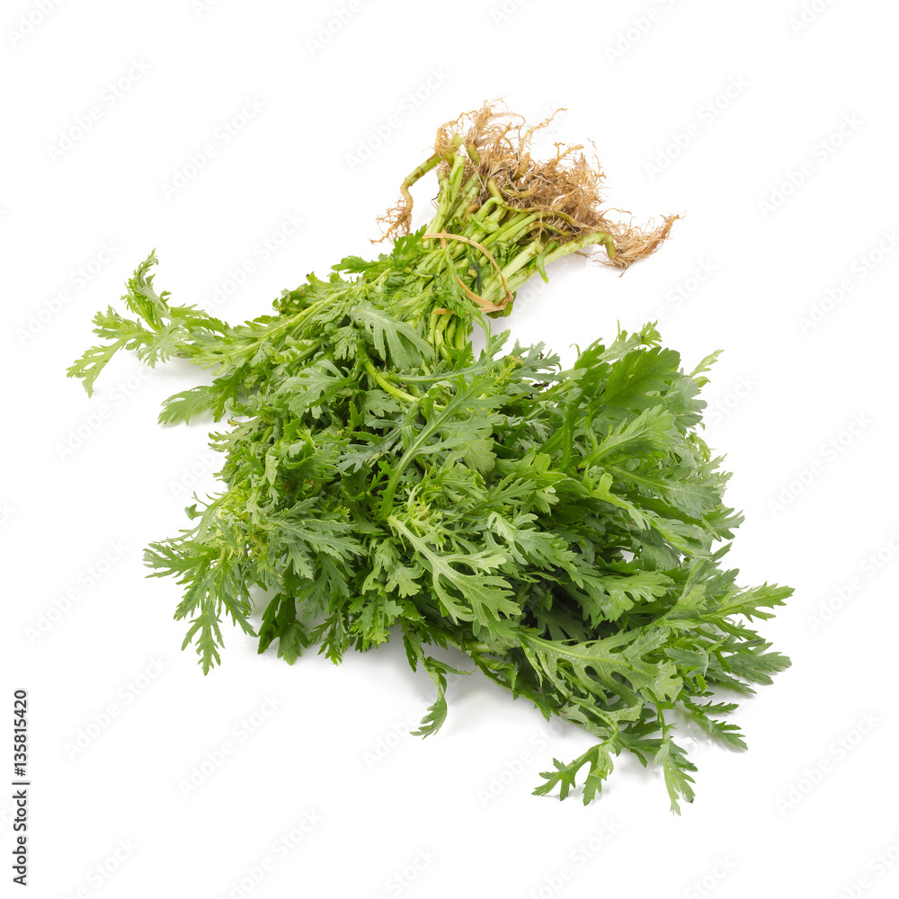 Foto de Chrysanthemum coronarium Isolated on white background. do Stock ...