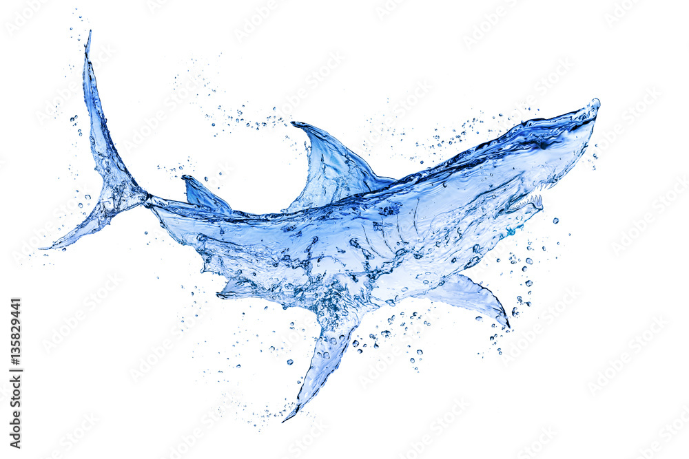 Shark water splash isolate on white background. Stock Illustration ...