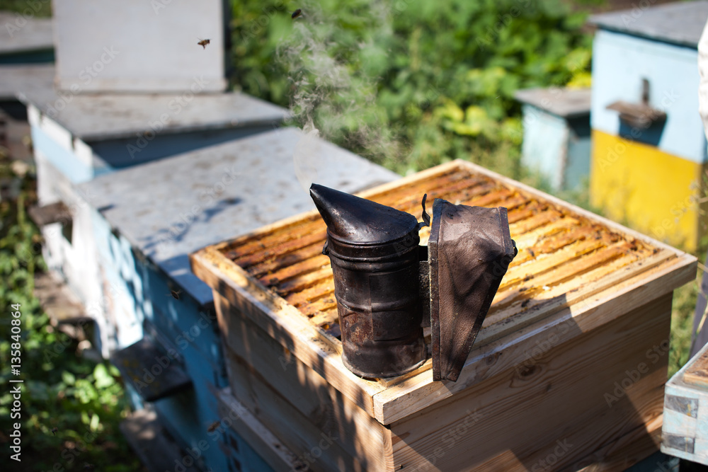 Frames of a bee hive. Beekeeper harvesting honey. The bee smoker is ...