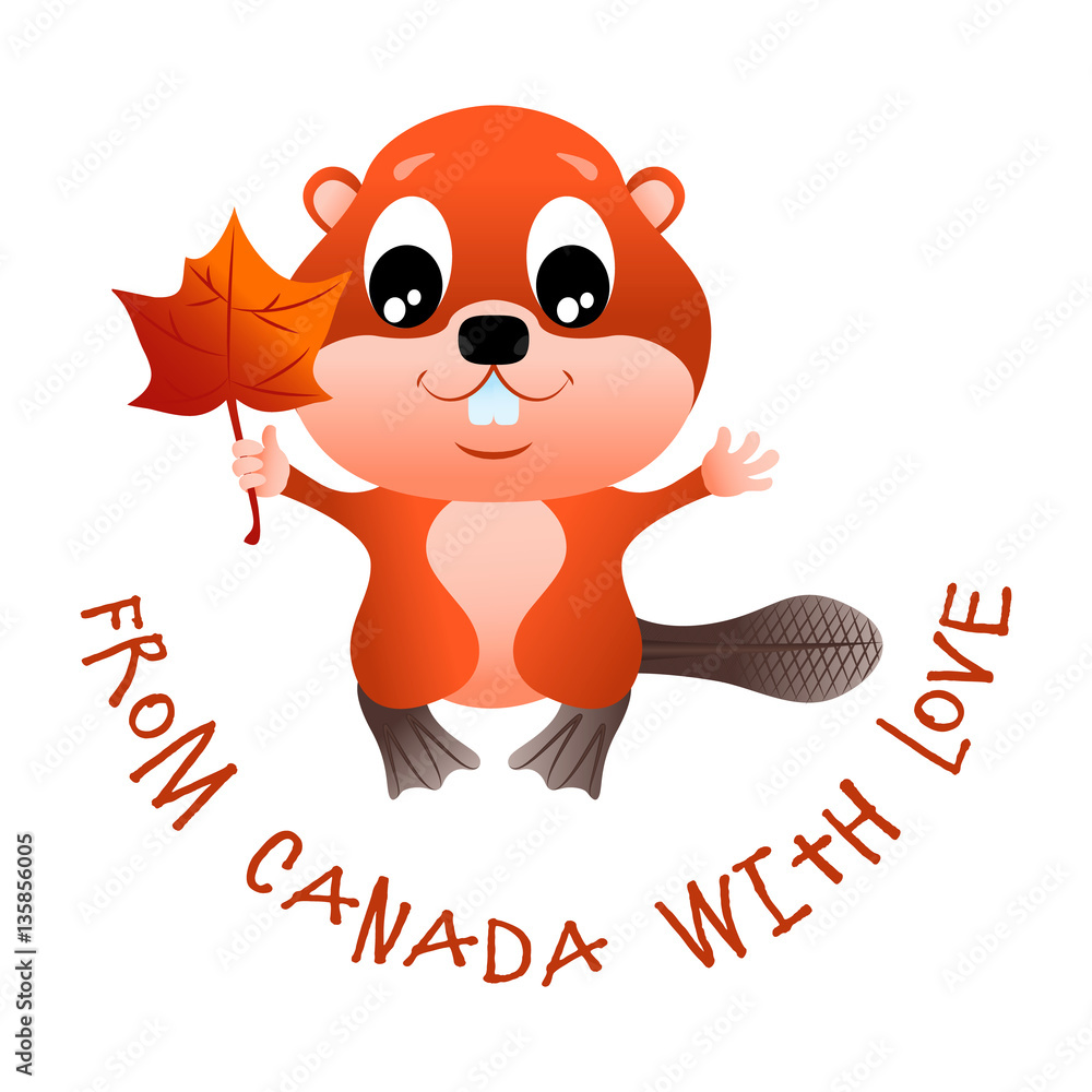Beaver with a maple leaf in the paw Stock Vector | Adobe Stock