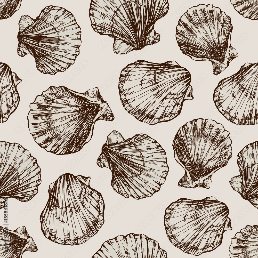 Vector seamless vintage sketch of seashells isolated on white ...