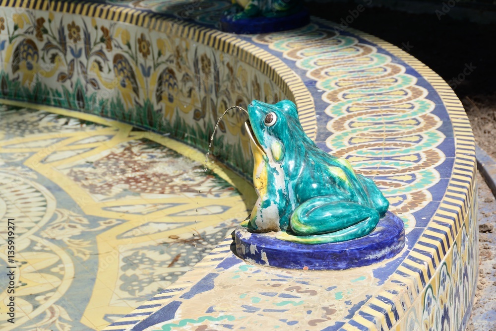 Frog spitting water Stock Photo | Adobe Stock