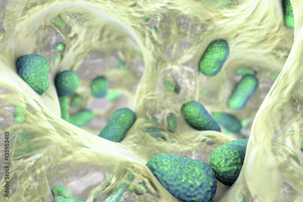 Biofilm of bacterium Acinetobacter baumannii, 3D illustration ... Biofilm of bacterium Acinetobacter baumannii, 3D illustration ...