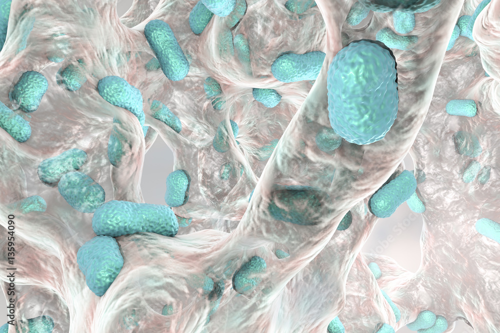 Biofilm of bacterium Acinetobacter baumannii, 3D illustration ... Biofilm of bacterium Acinetobacter baumannii, 3D illustration ...