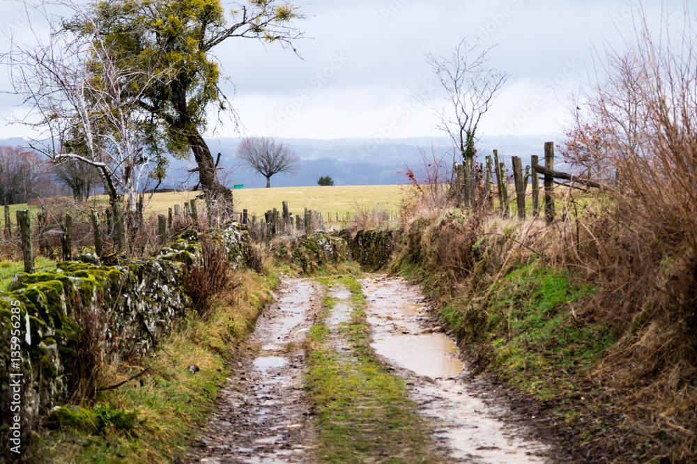 Chemin de campagne Stock Photo | Adobe Stock