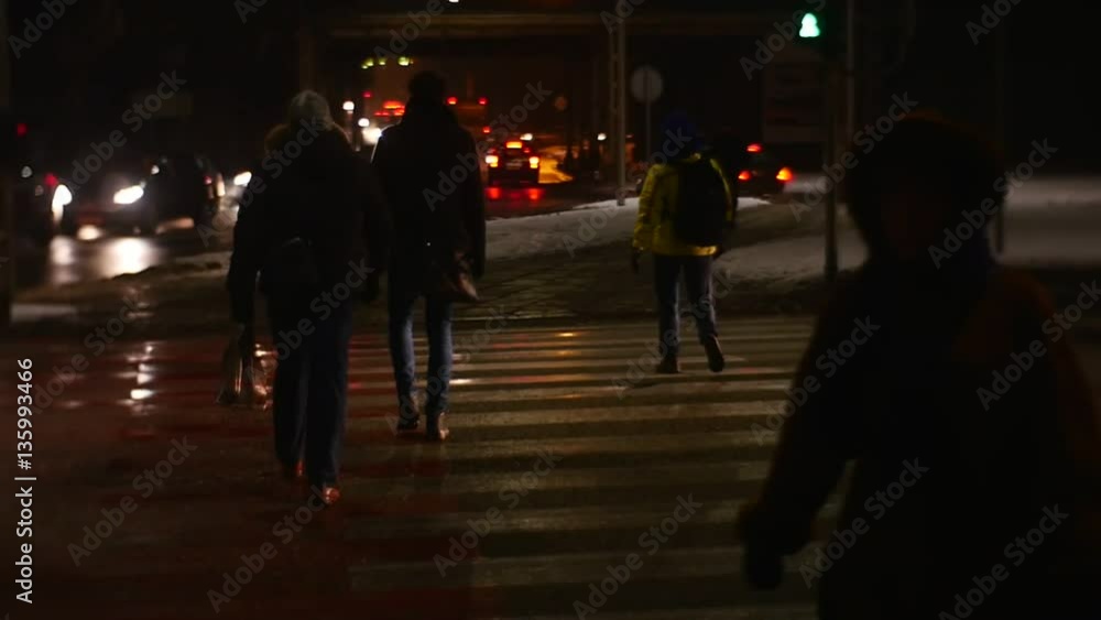 Pedestrians at Night Cityscape Cyclist in Safety Vest Are Crossing Road ...