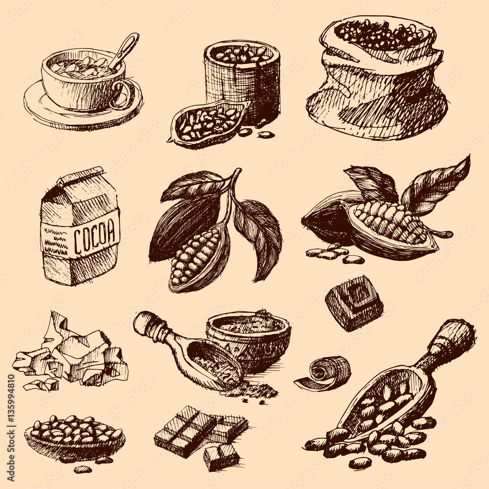 Vector cocoa hand drawn sketch illustration. Stock Vector | Adobe Stock Vector cocoa hand drawn sketch illustration. Stock Vector | Adobe Stock
