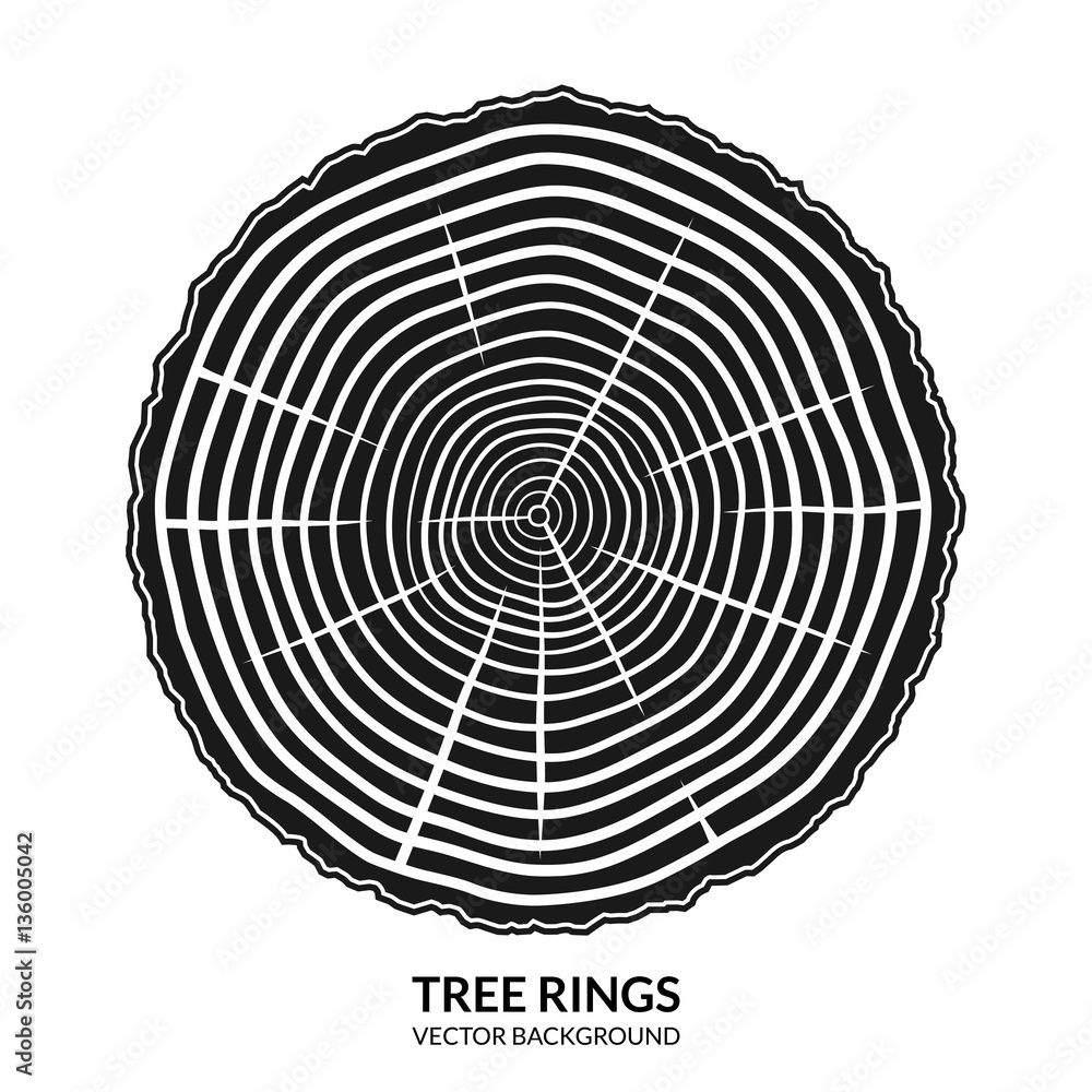 Tree rings. Cross section of a tree. Annual growth symbol, icon or logo ...
