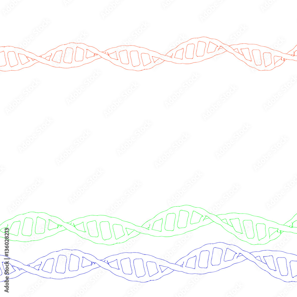 DNA spiral. Isolated on white background. Vector outline illustr Stock ...