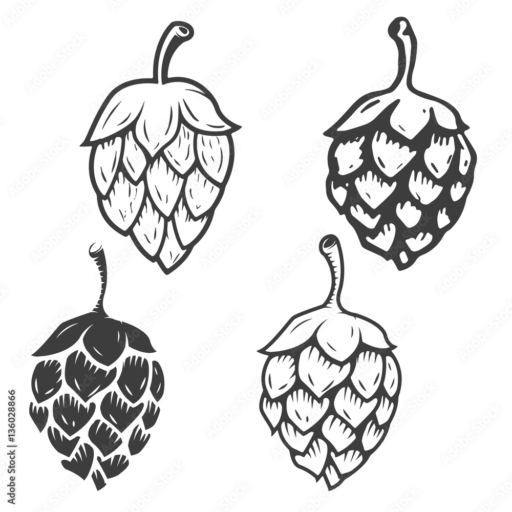Set of hop icons isolated on white background. Design elements f Stock ...