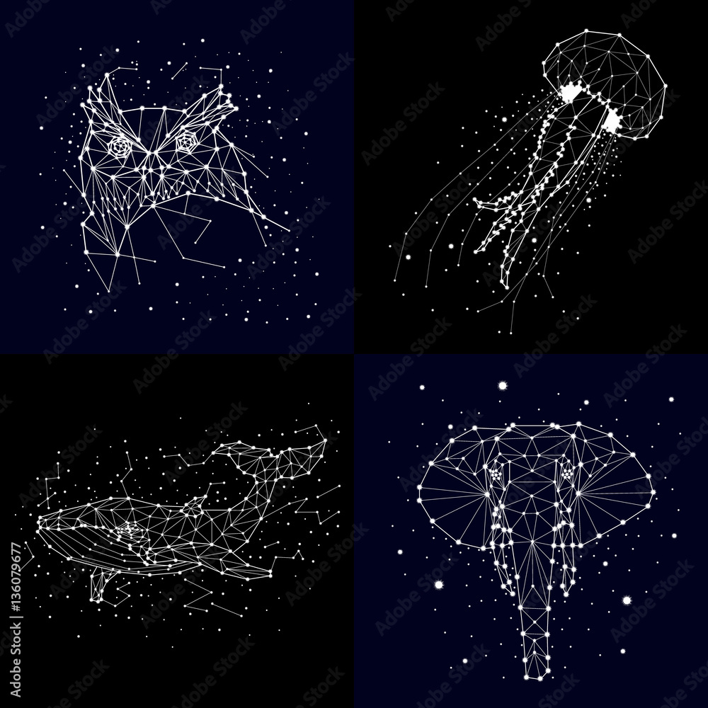 set of constellation , elephant, owl, whales , jellyfish, star , vector ...