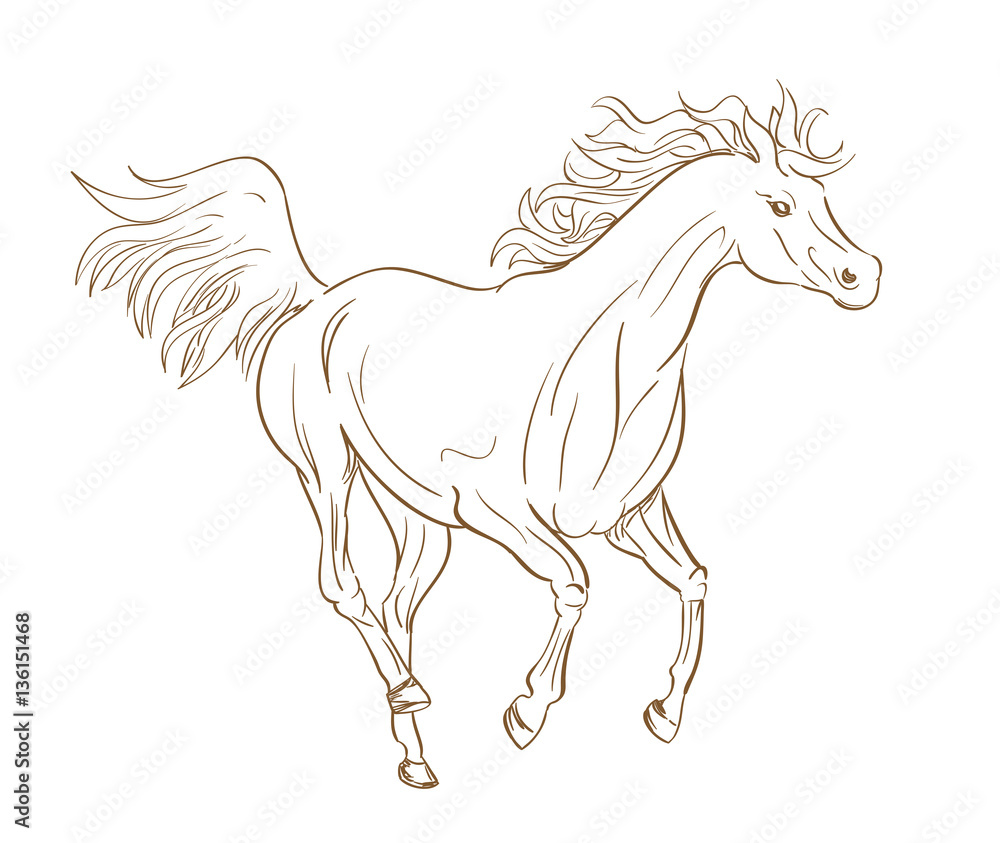 running horse outline in line art style Stock Vector | Adobe Stock