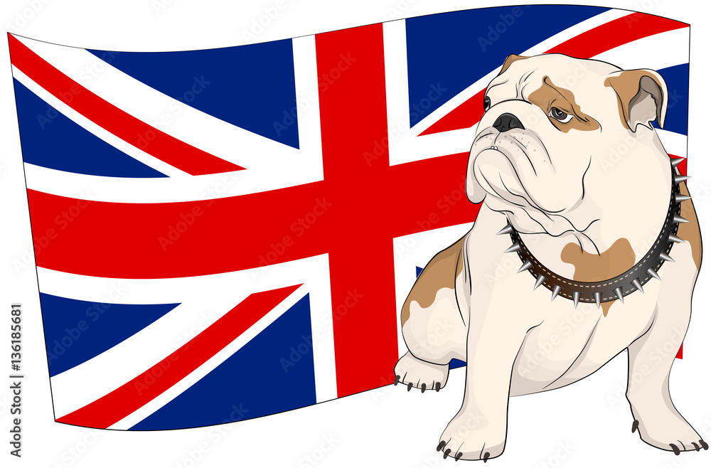 British bulldog on a background of the British flag Stock-Vektorgrafik ...
