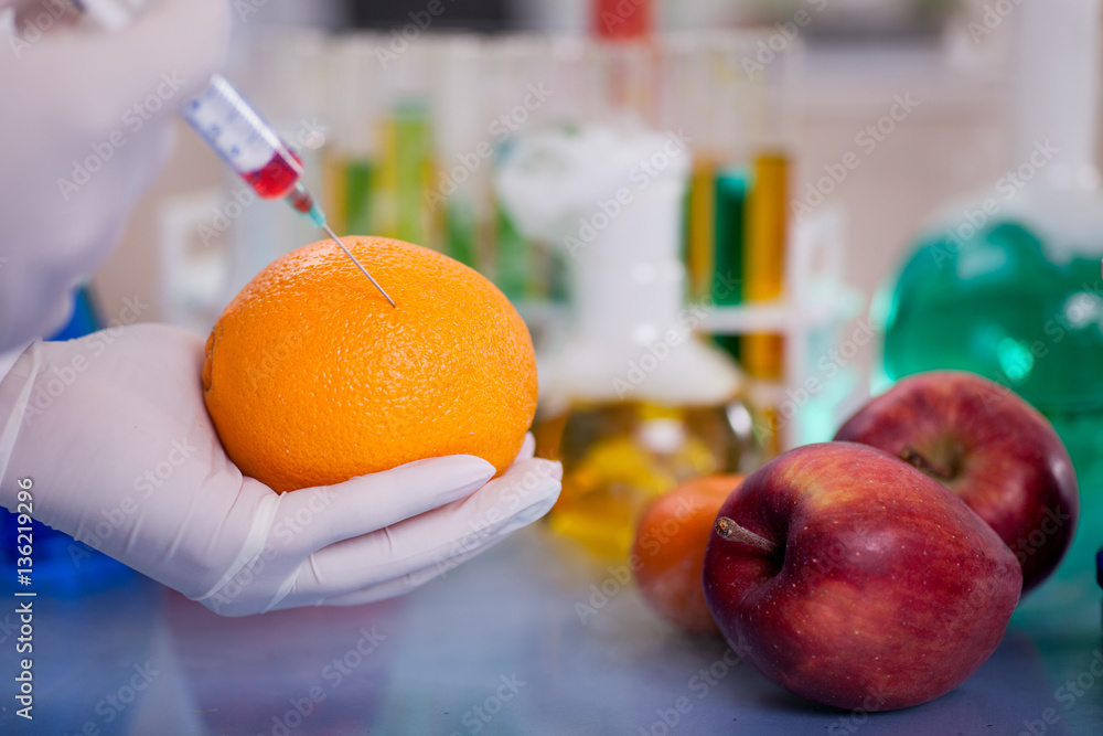 GMO experiment scientist injecting liquid into orange in agricul Stock ...