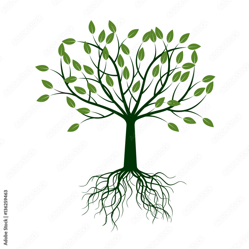 Green Tree with Roots. Vector Illustration. Stock Vector | Adobe Stock