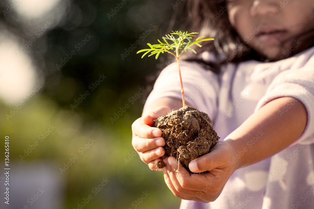 little girl hand holding young tree for prepare plant on ground Stock ...