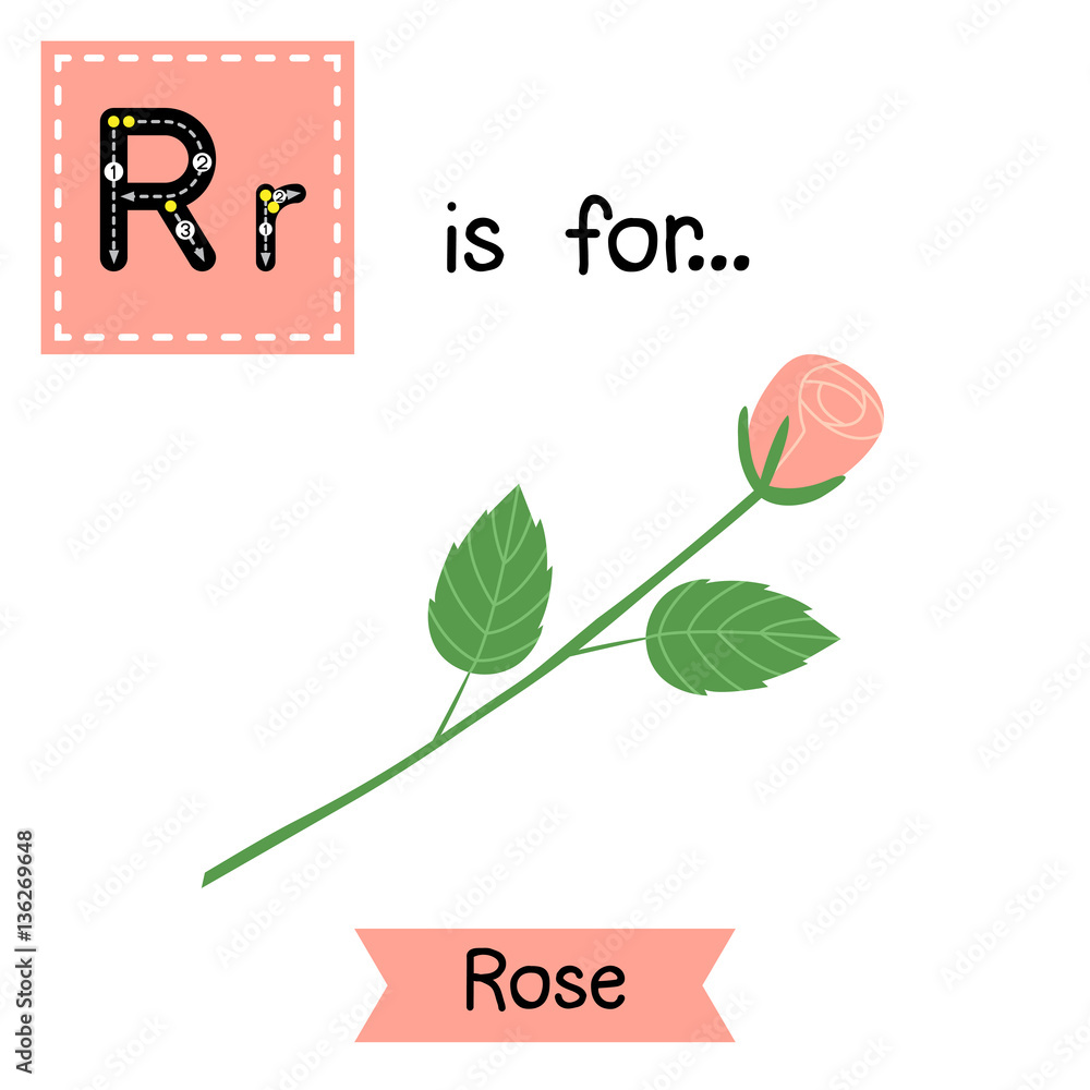 Cute children ABC alphabet R letter tracing flashcard of Rose for kids ...