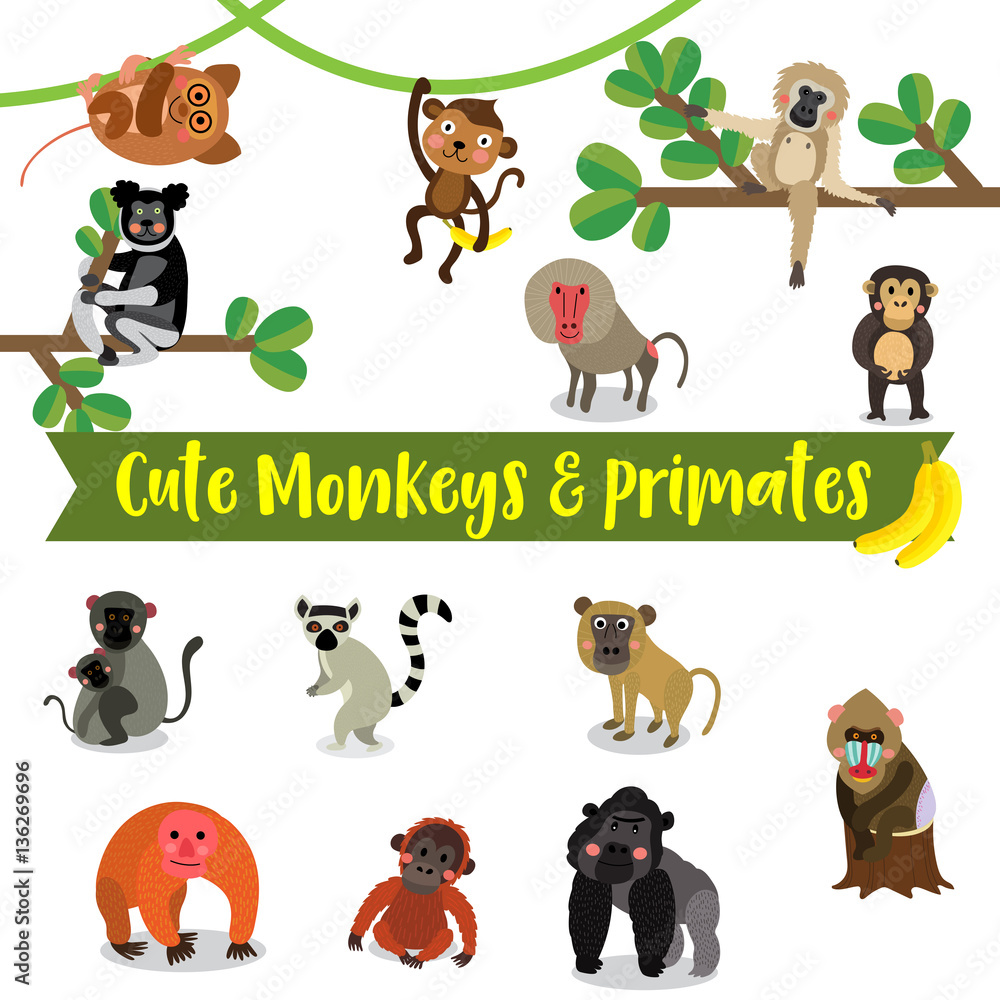Cute Monkey and Primate Animals cartoon on white background. Stock ...