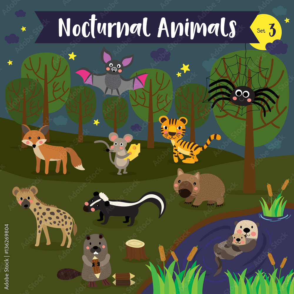 Nocturnal Animals cartoon with forest and pond background. Set 3. Stock ...