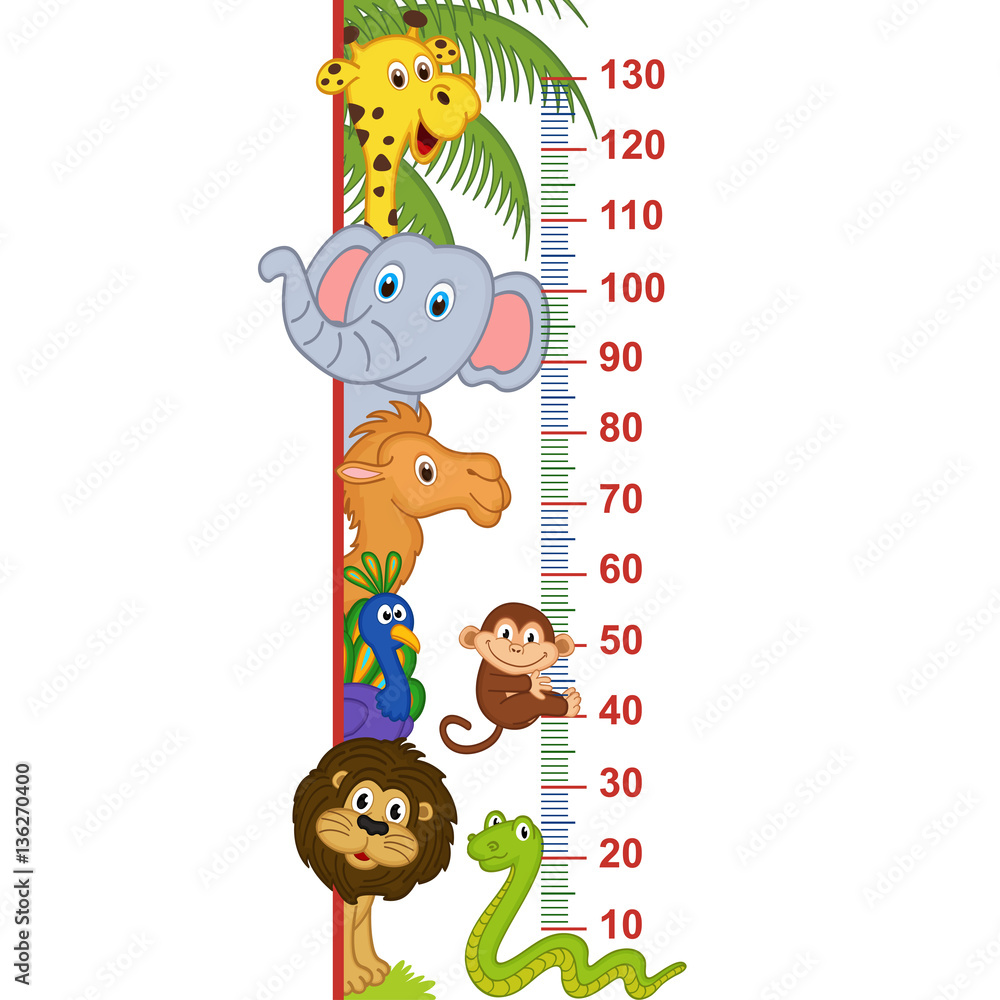 Vetor do Stock: zoo animal height measure - vector illustration, eps ...