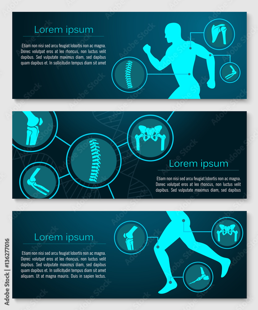 Medical banner template with human skeleton bones Stock Vector | Adobe ...