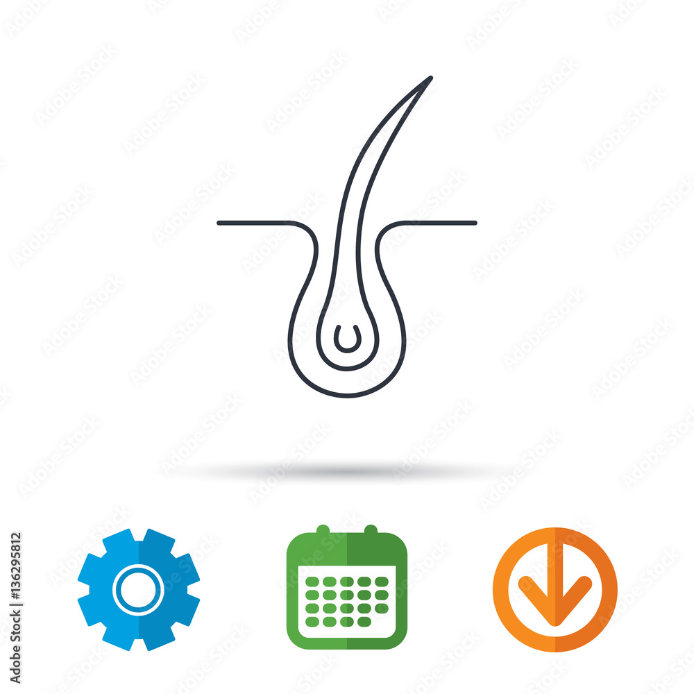 Trichology skin icon. Dermatology hair sign. Calendar, cogwheel and ...