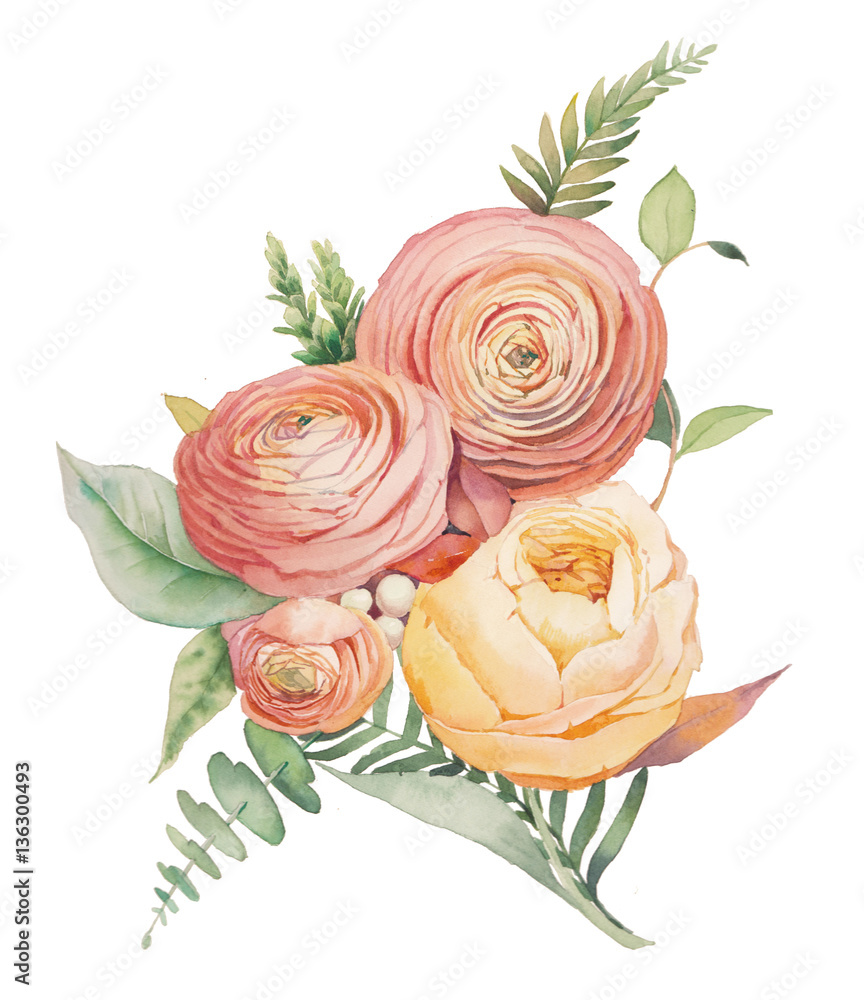 Ranunculus Watercolor