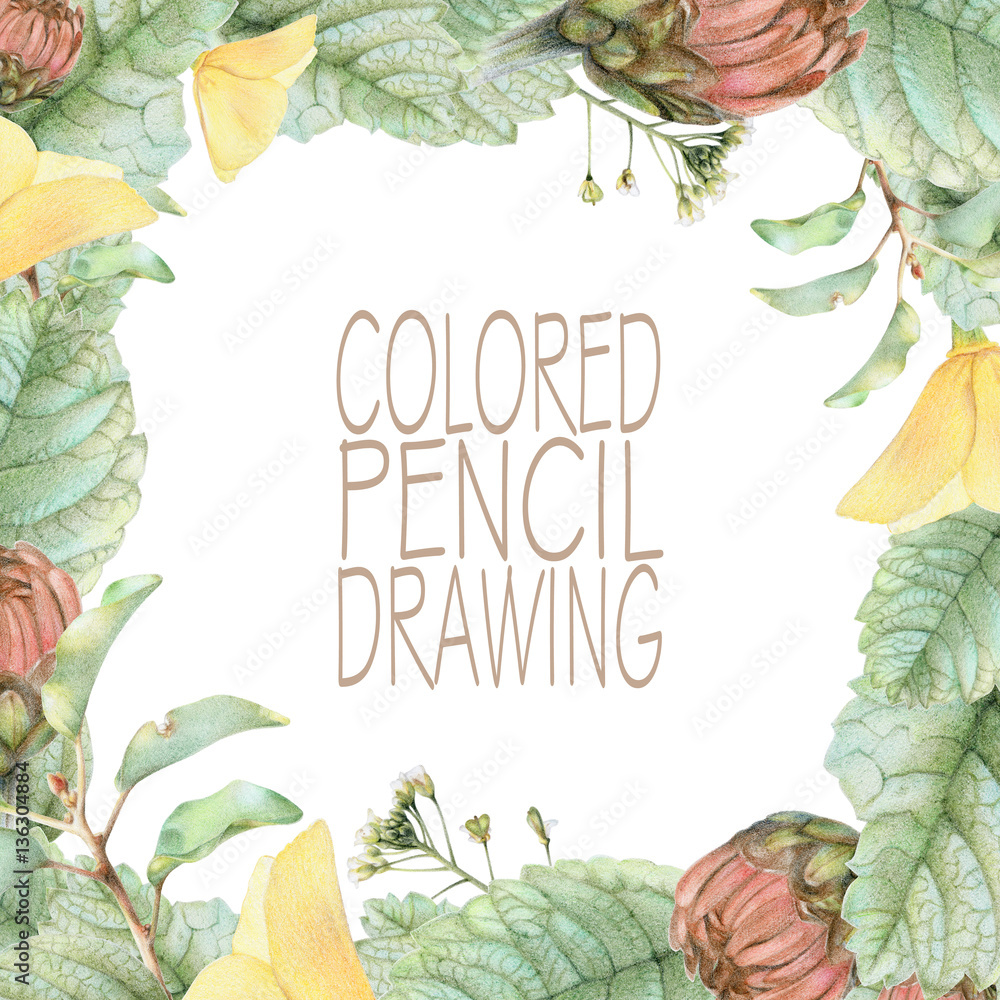 Square frame with beautiful spring flowers and plants drawn by hand ...