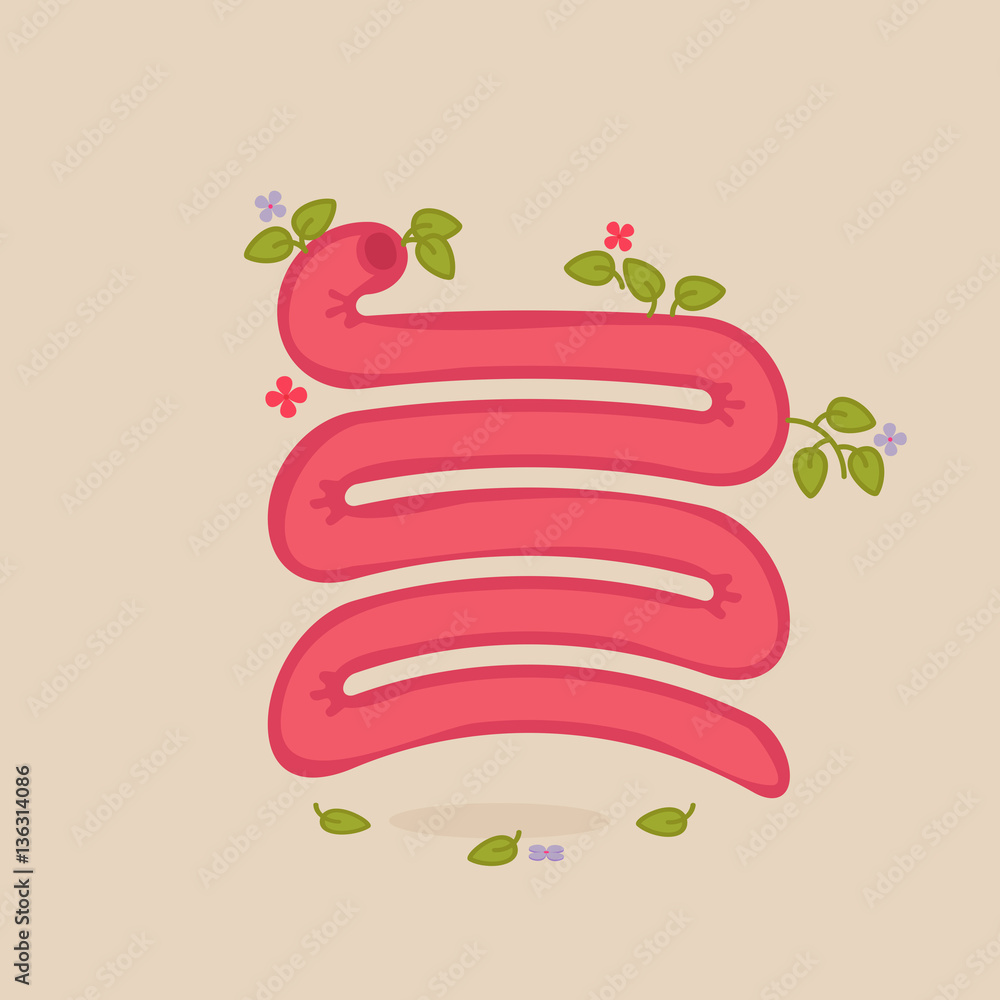 Small intestine vector illustration Stock Vector | Adobe Stock