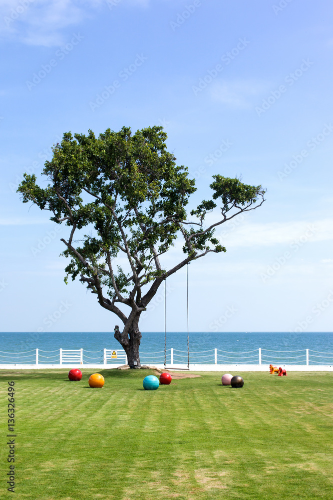 Sky Sea Park and the Big Tree Stock Photo | Adobe Stock