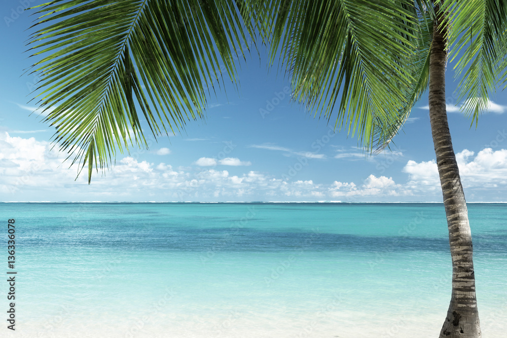 Caribbean beach Stock Photo | Adobe Stock