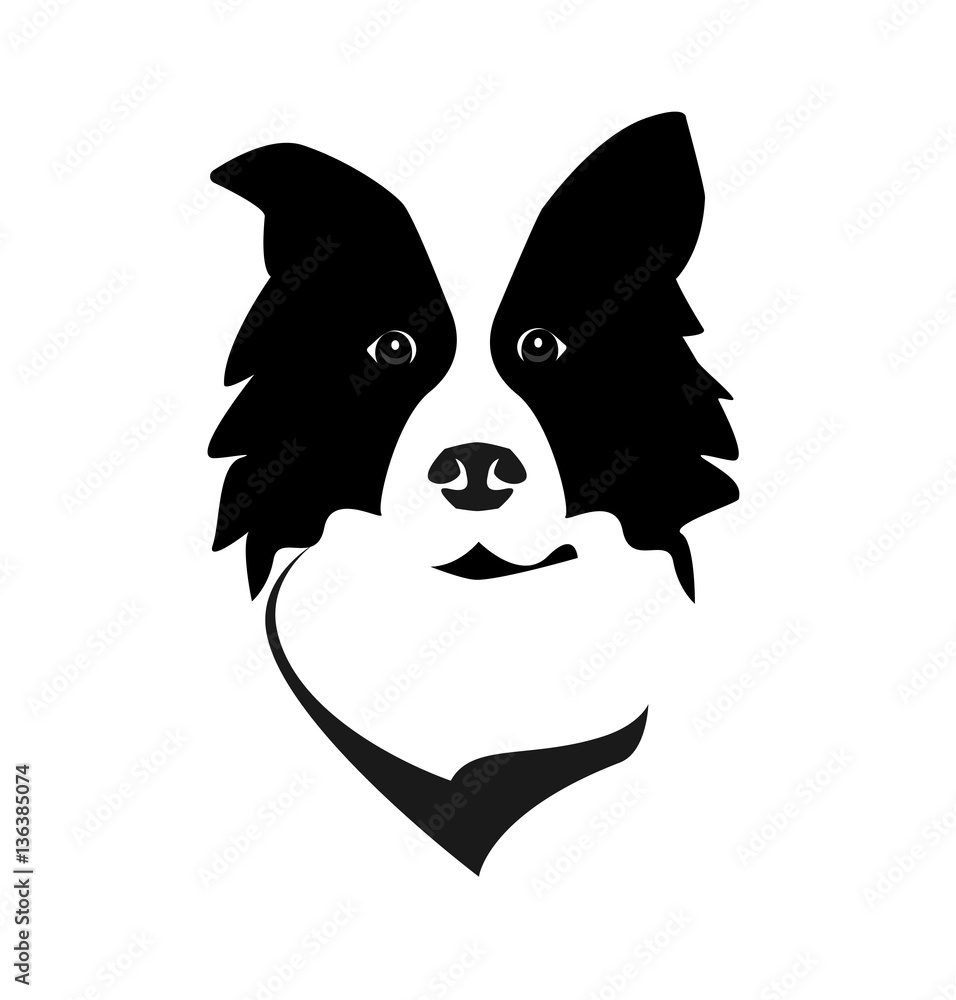 Border Collie head logo icon vector. Dog face simple design. Stock ...