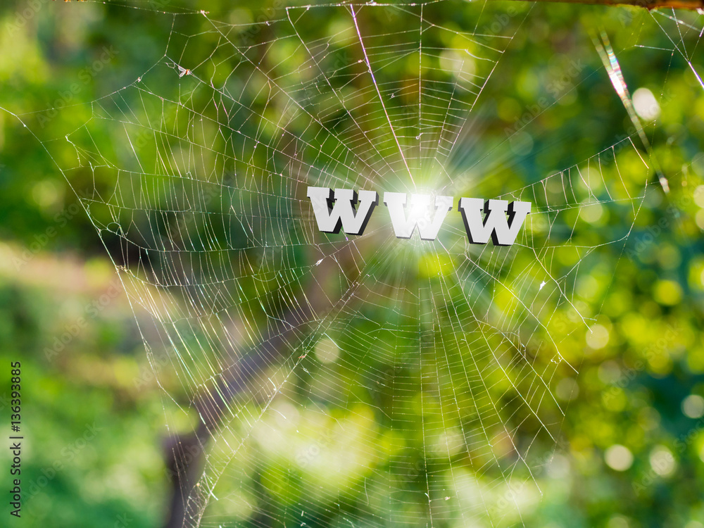 WWW 3d text on spider web, computer network and information online ...